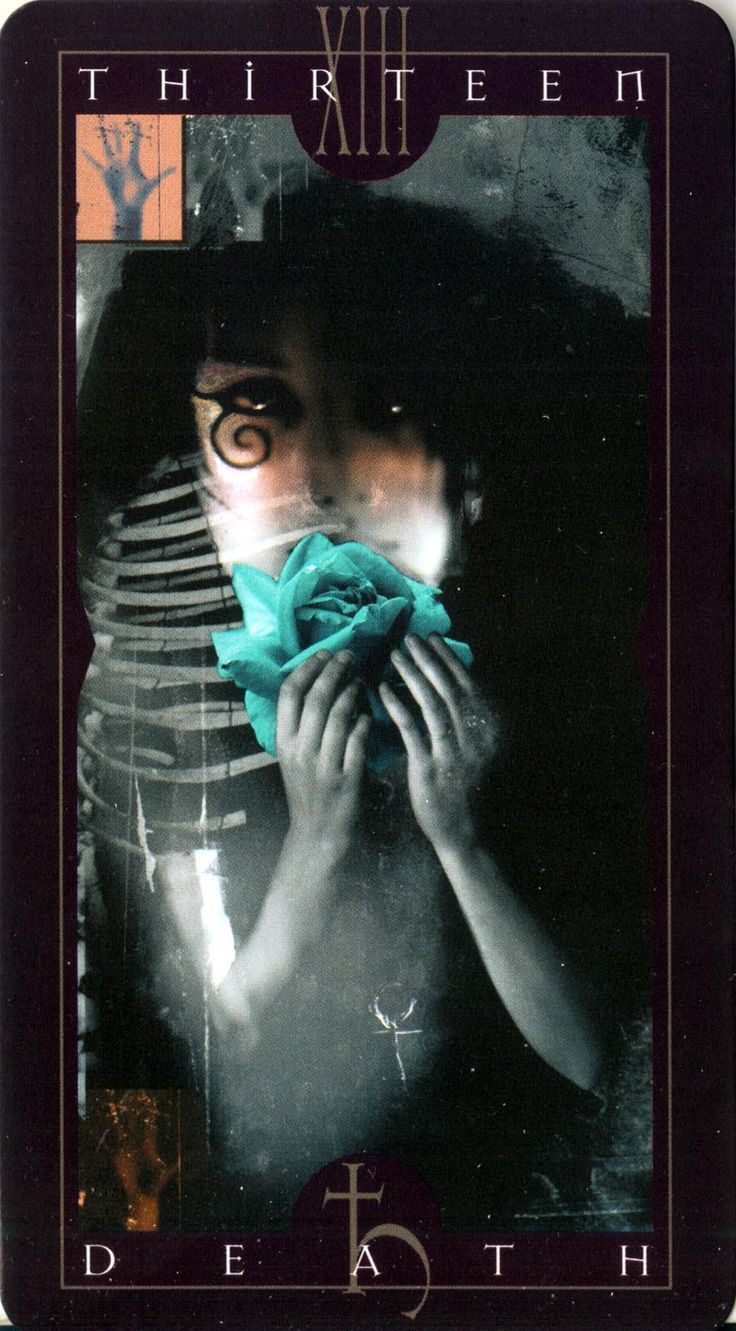 rachel pollack dave mckean – Multiversity Comics